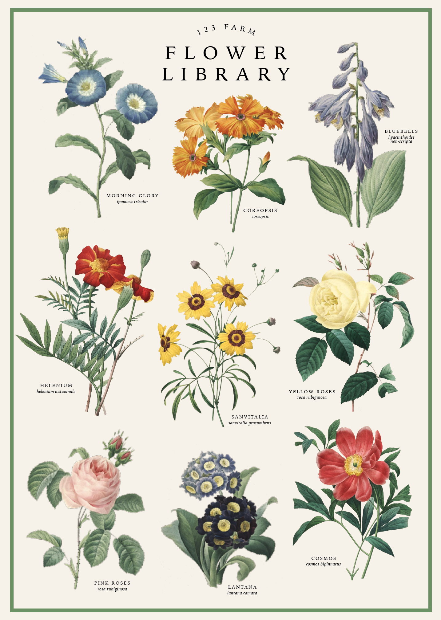 Vintage Posters Wrapping Paper - Flower Library | Audie Jayne ...